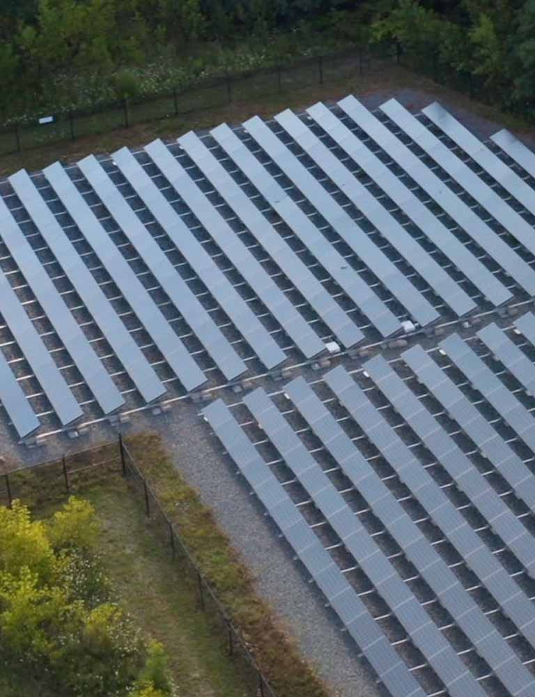 Environment | Biogen